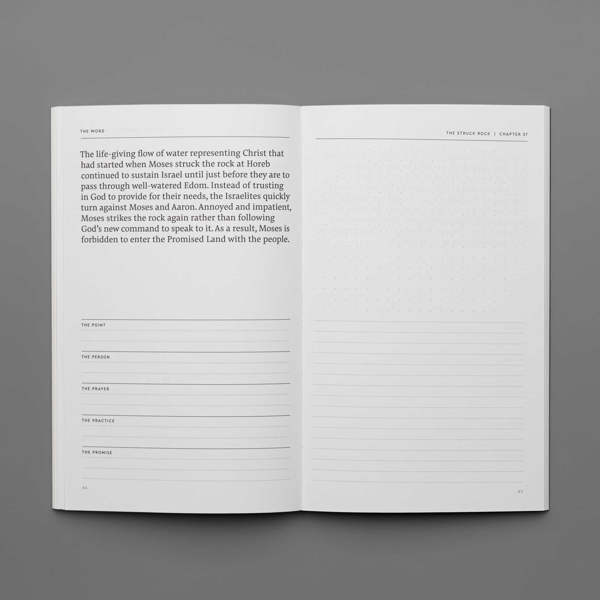 Study Journals: Patriarchs and Prophets Study Journal – Types & Symbols