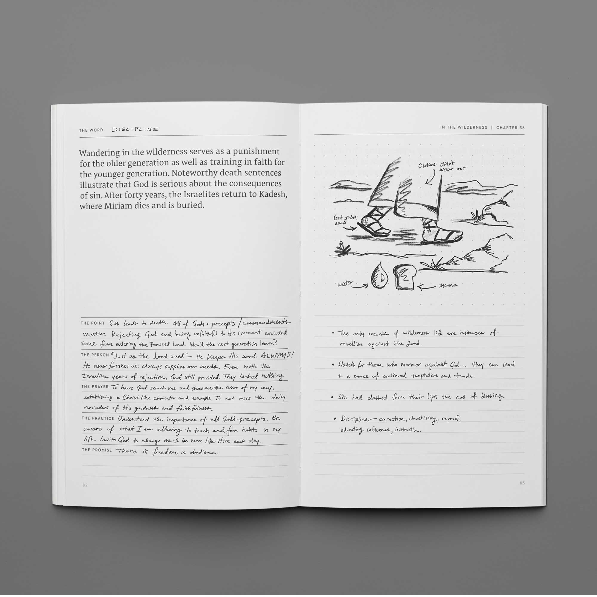 Study Journals: Patriarchs and Prophets Study Journal – Types & Symbols